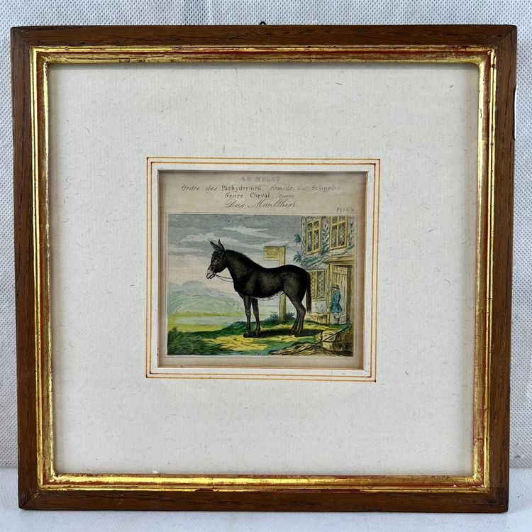 Alte Kolorierte Litho | Kaufen auf Ricardo