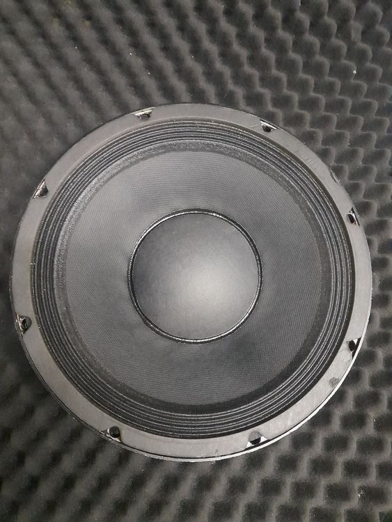 Electro Voice DL-10X, 300 Watt Speaker 10" (Gebraucht) in Steffisburg ...