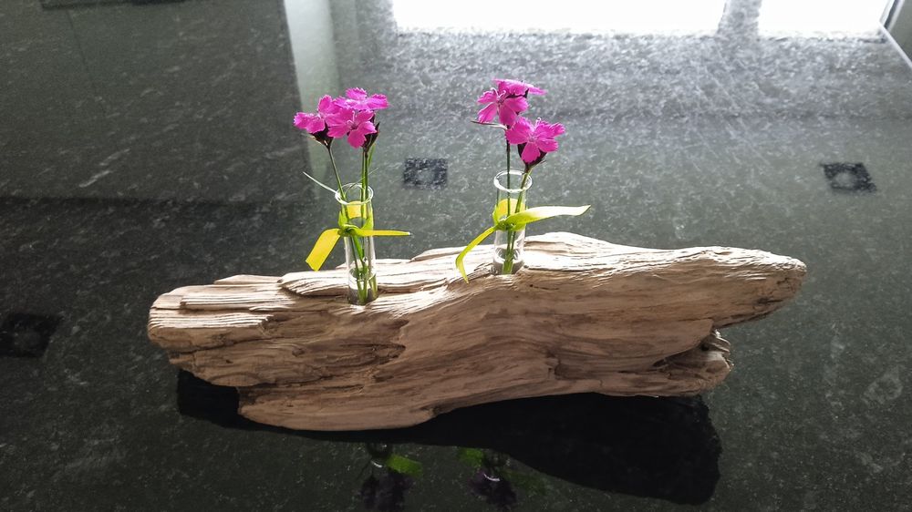 Schwemmholz mit zwei Reagenzgläser (Neu und originalverpackt) in Widnau für CHF 25 – mit ...