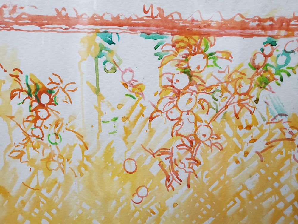 SAMUEL BURI 1978 3 BILDER (Gebraucht) in BASEL für CHF 2500 – nur ...