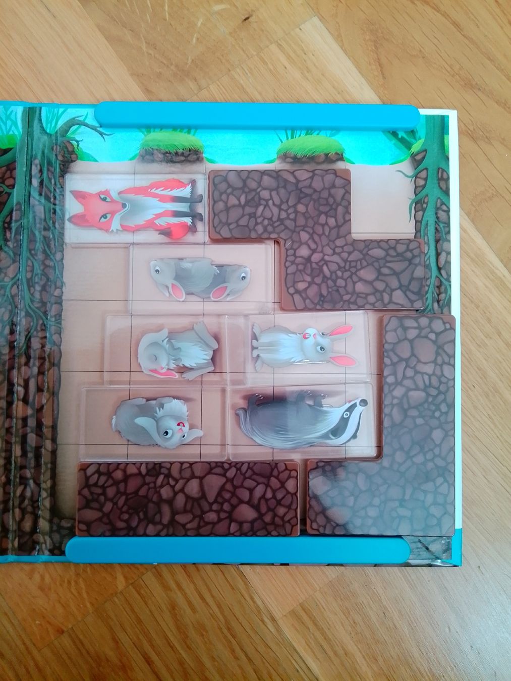 Jeu de société Smart Games Down the Rabbit Hole, 5+ ans (D'occasion) à ...