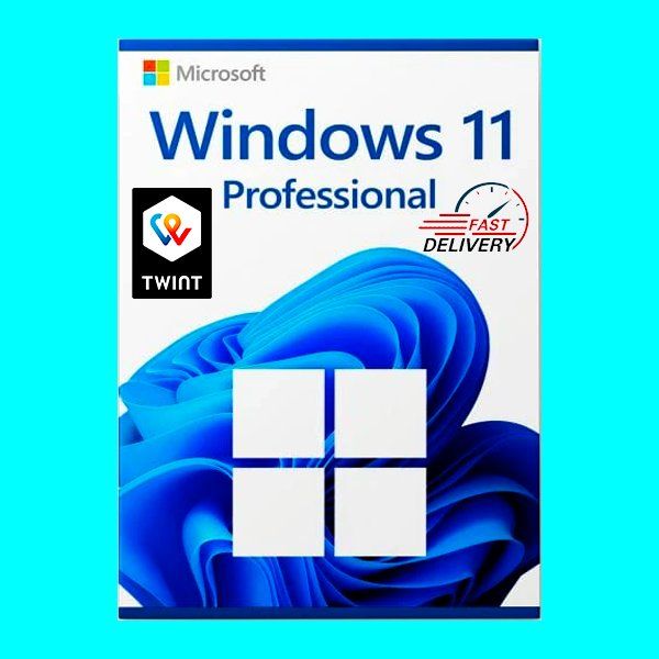 BEGRENZT Windows Professionnel 10 / 11 – Produkt Schnell! (Gebraucht ...