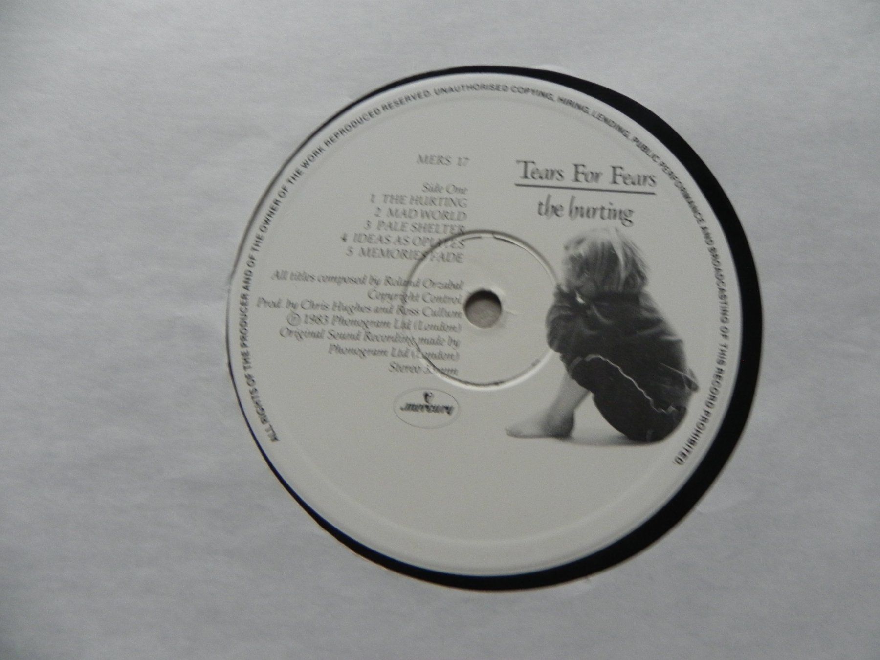 LP brit. Synt Pop New Wave Tears for Fears 1983 The Hurting (Gebraucht ...