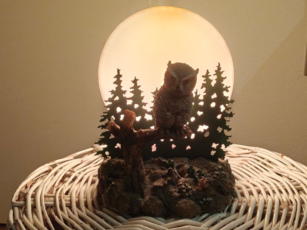 Einzigartige Lampe: Eule vor Vollmond /(Harry Potter Hedwig) (Gebraucht ...