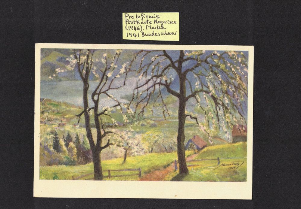 1946Postkarte Pro Infirmis Aegerisee Briefmarke Bundesschwur (Gebraucht) in Koppigen für CHF 3 ...