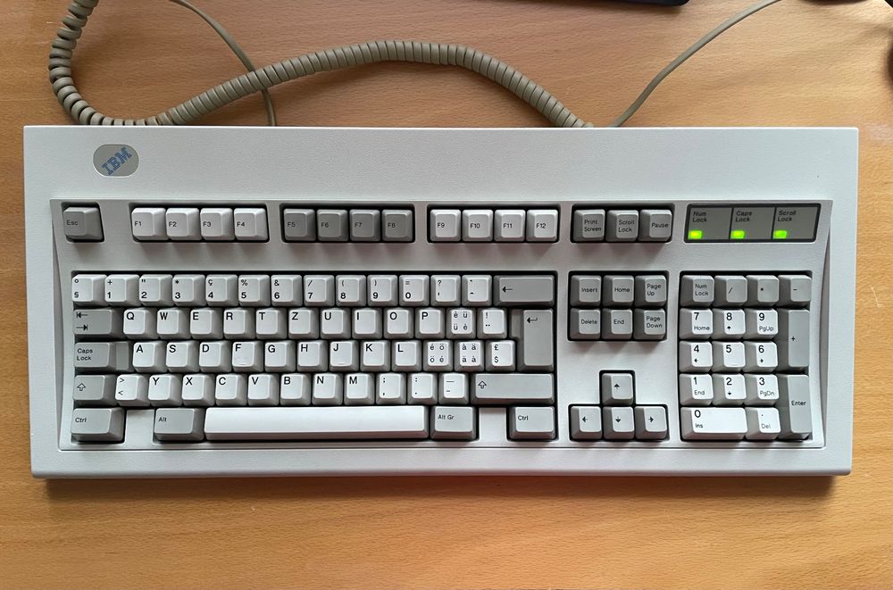 IBM Model Keyboard (1994) (Neu (gemäss Beschreibung)) in Dietikon für ...