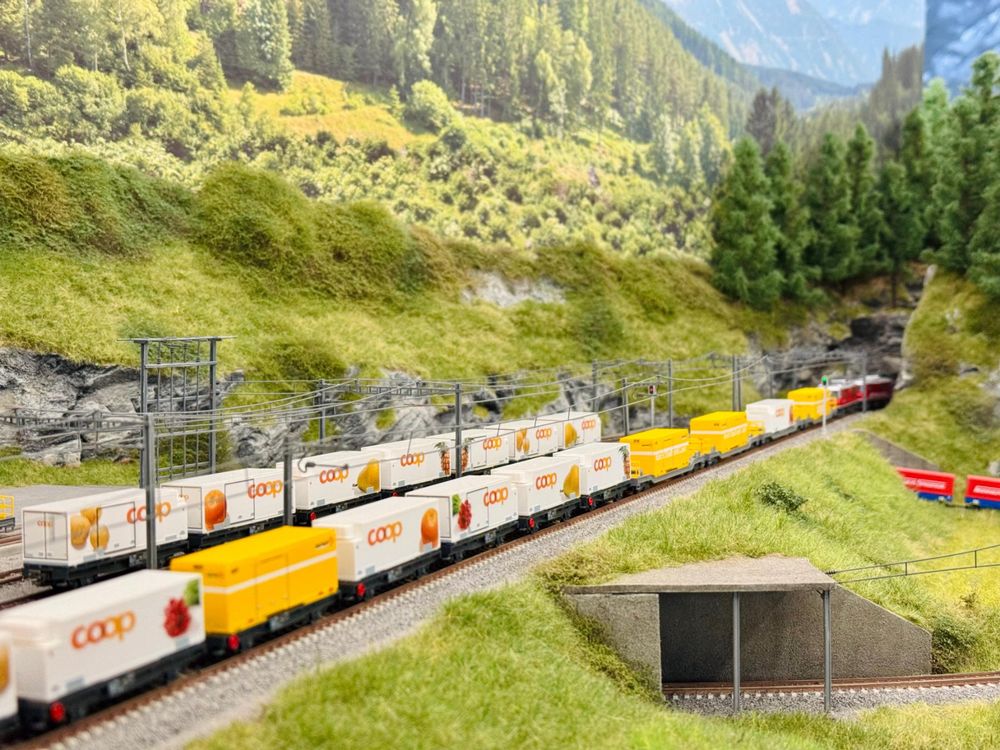 ️B-Ware ️ Kato 10-1731 / Noch 7074102 RhB Güterwagen-Set (Neu und ...
