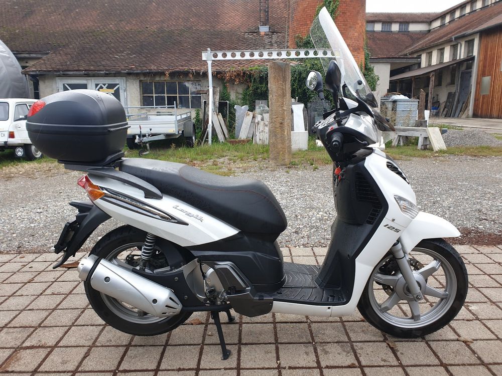 Tell Logik 125 Roller Lenkkopflager muss ersetzt werden (Gebraucht) in ...