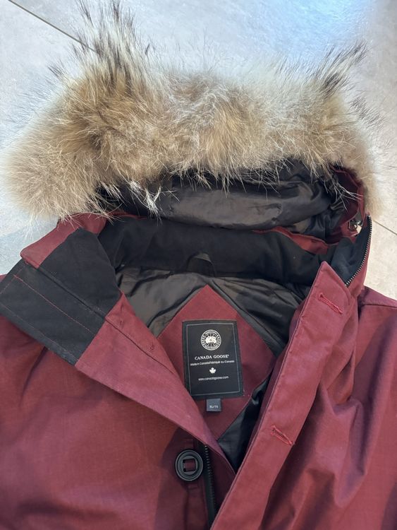 Canada Goos BlackLabel Jacke zu verkaufen (Gebraucht) in Flüelen für ...