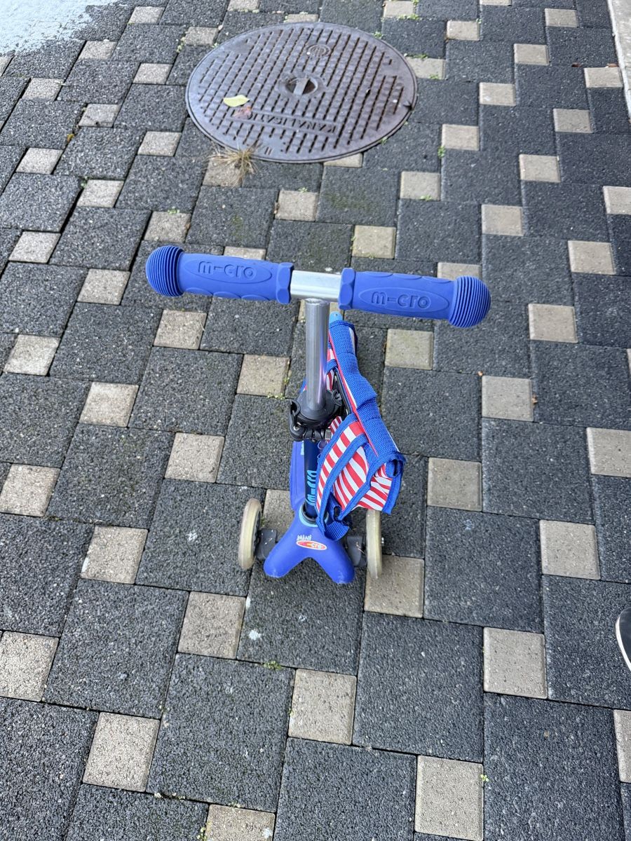 Micro Mini - Roller (Gebraucht) in Glattpark(Opfikon) für CHF 15 – nur ...