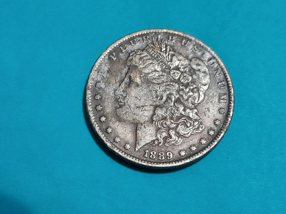 1 Dollar USA, 1889 (Usato) a Aarau per CHF 26 – con consegna | Acquista ...