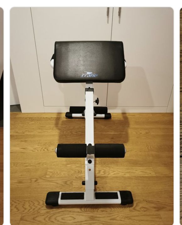 Rückentrainer Crane (Gebraucht) in Bern für CHF 20 – nur Abholung auf ...