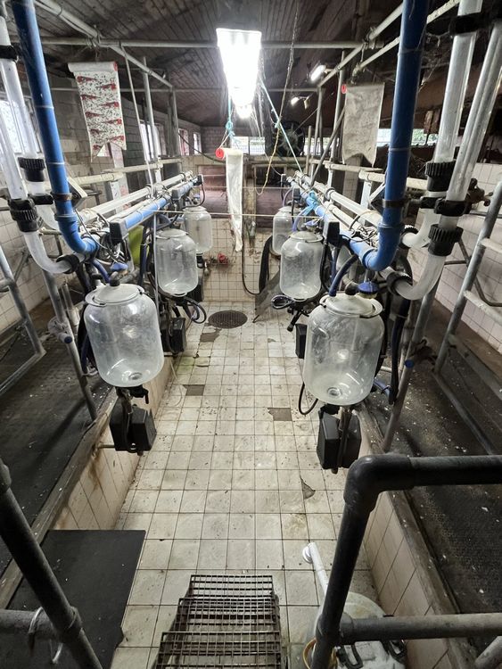 6er Melkstand Occasion Milchvieh Kühe Alfa Laval (Gebraucht) in Pfeffikon LU für CHF 100 – nur ...