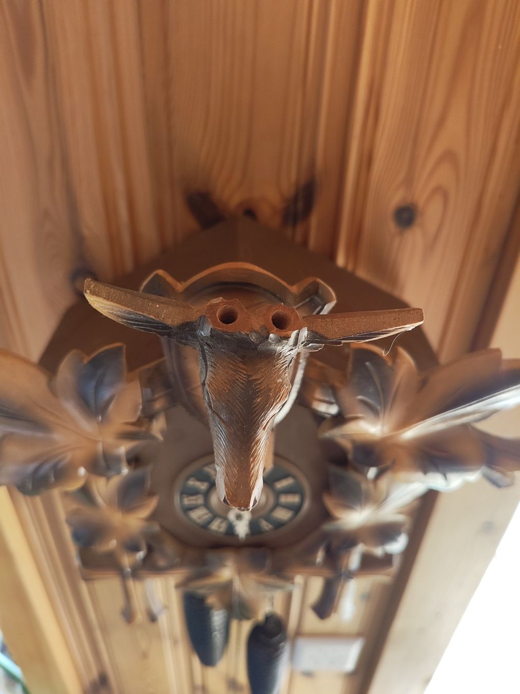 Horloge à coucou Forêt Noire, cerf et feuilles. (Gebraucht) in ...