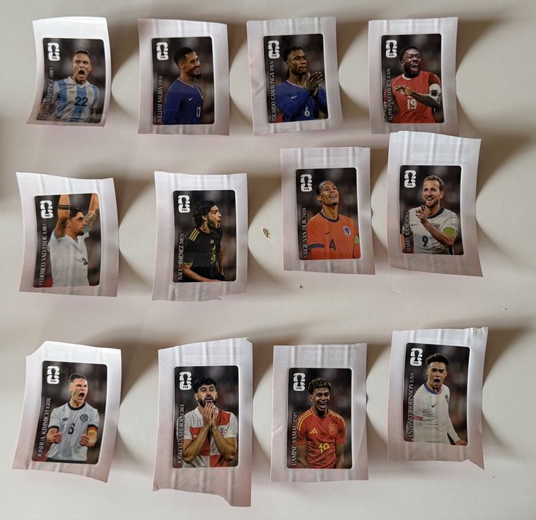 🔥 Coca-Cola Panini FIFA World Cup 2026™ – Komplett (Usato) a Richigen ...