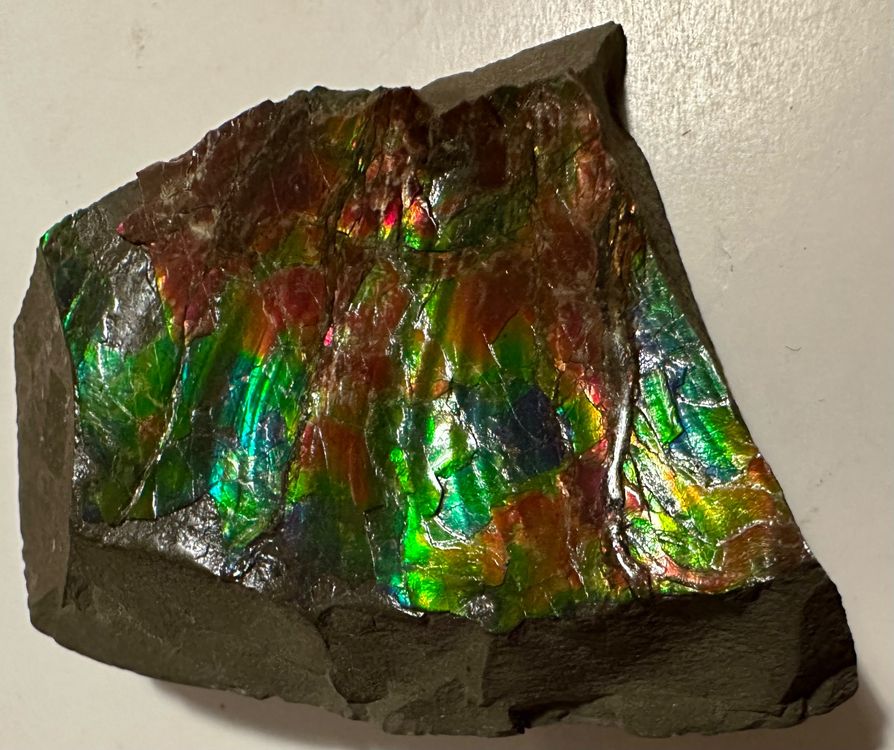 AMOLITE Edelstein mit Sehr Schöne farbe (Gebraucht) in Root für CHF 64 ...