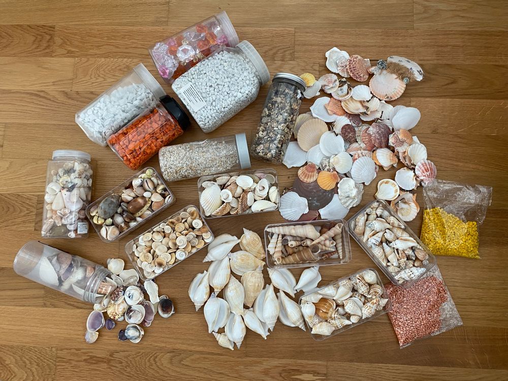 Diverse Muscheln/Sand/Granulat (Gebraucht) in Glattbrugg für CHF 15 – mit Lieferung auf Ricardo ...