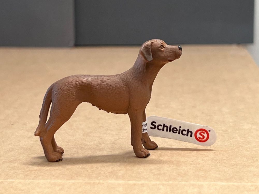 Schleich 13895 Rhodesian Ridgeback Hund | Kaufen auf Ricardo