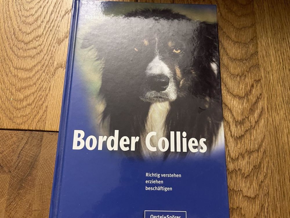 Barbara Sykes: Border Collies (4) | Kaufen auf Ricardo