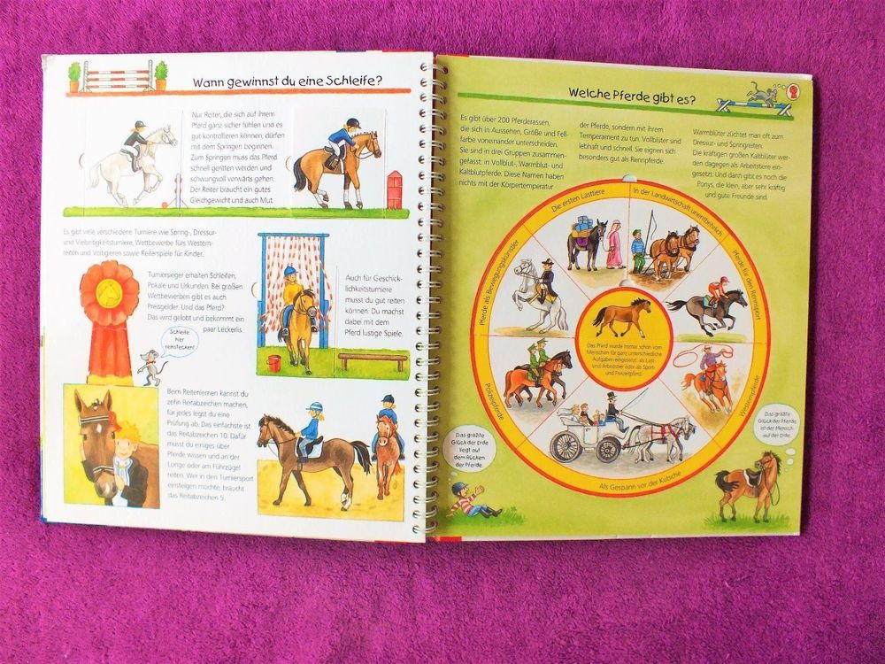 Wieso Weshalb Warum Buch - Alles über Pferde und Ponys (Gebraucht) in ...