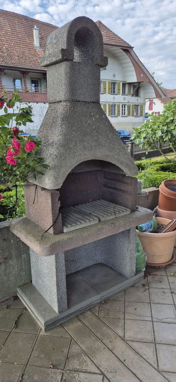 Grosser Steingrill - Bereit für den Sommer! (Neu (gemäss Beschreibung ...