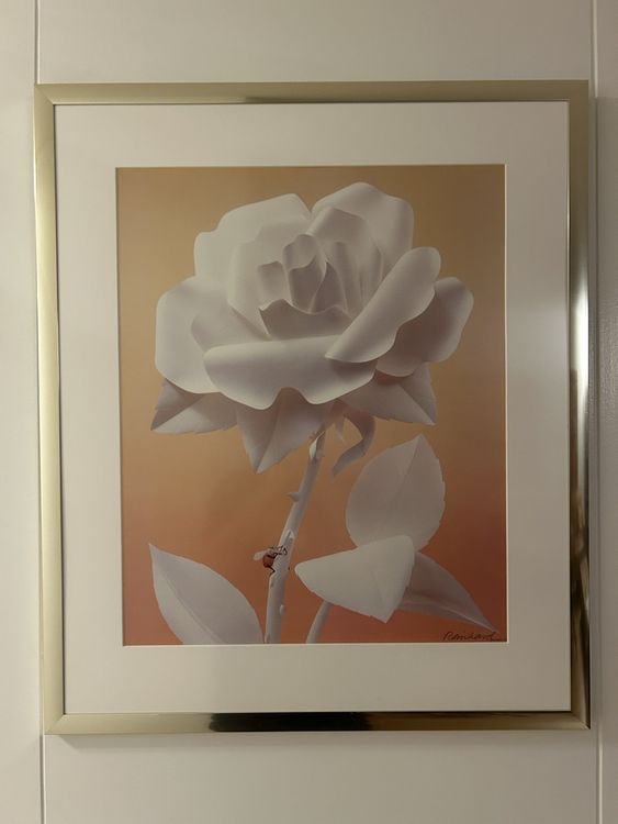 Reinhard signiert gerahmt weiße Rose (Gebraucht) in Münsingen für CHF 50 – mit Lieferung auf ...