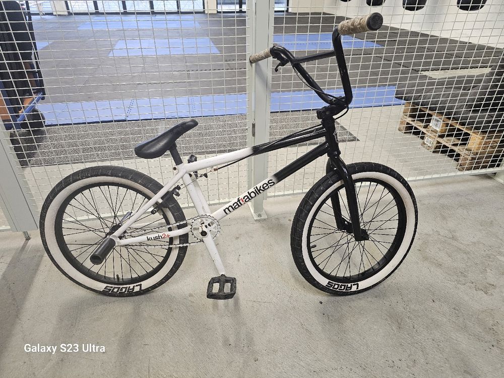Mafia Bikes Kush 2+ BMX, Top Zustand Profi (Gebraucht) in Dübendorf für ...