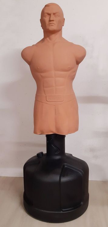 Century Bob Torso XL mit Tiefbereich (Gebraucht) in Ermenswil für CHF ...