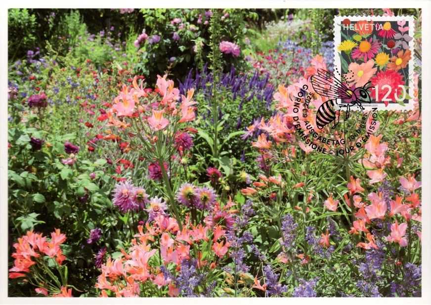 Maximumkarte Sommerblumen (Neu (gemäss Beschreibung)) in Dottikon für CHF 4 – mit Lieferung auf ...