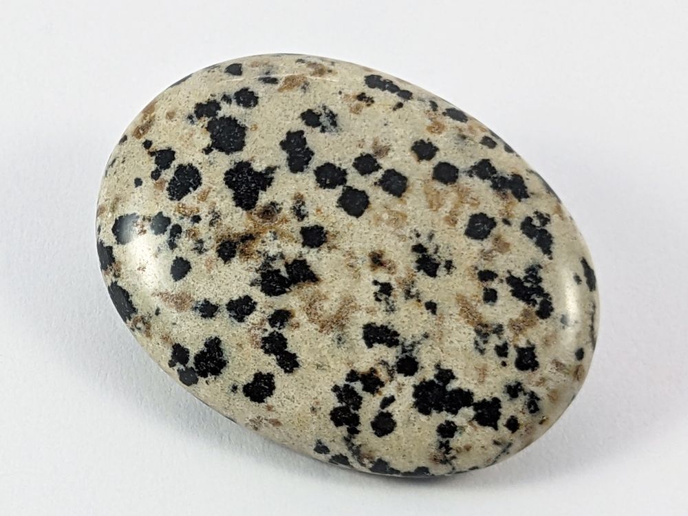 Dalmatiner Stein 40mm (Neu und originalverpackt) in Meilen für CHF 5 – mit Lieferung auf Ricardo ...