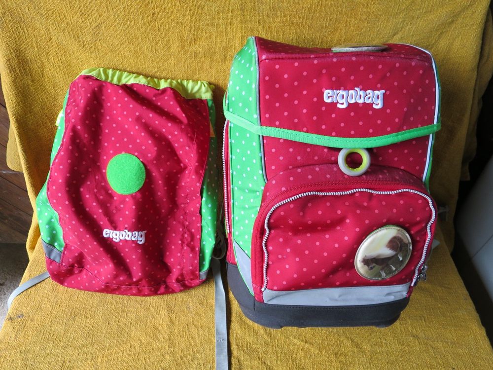 Ergo Bag Rucksack | Kaufen auf Ricardo