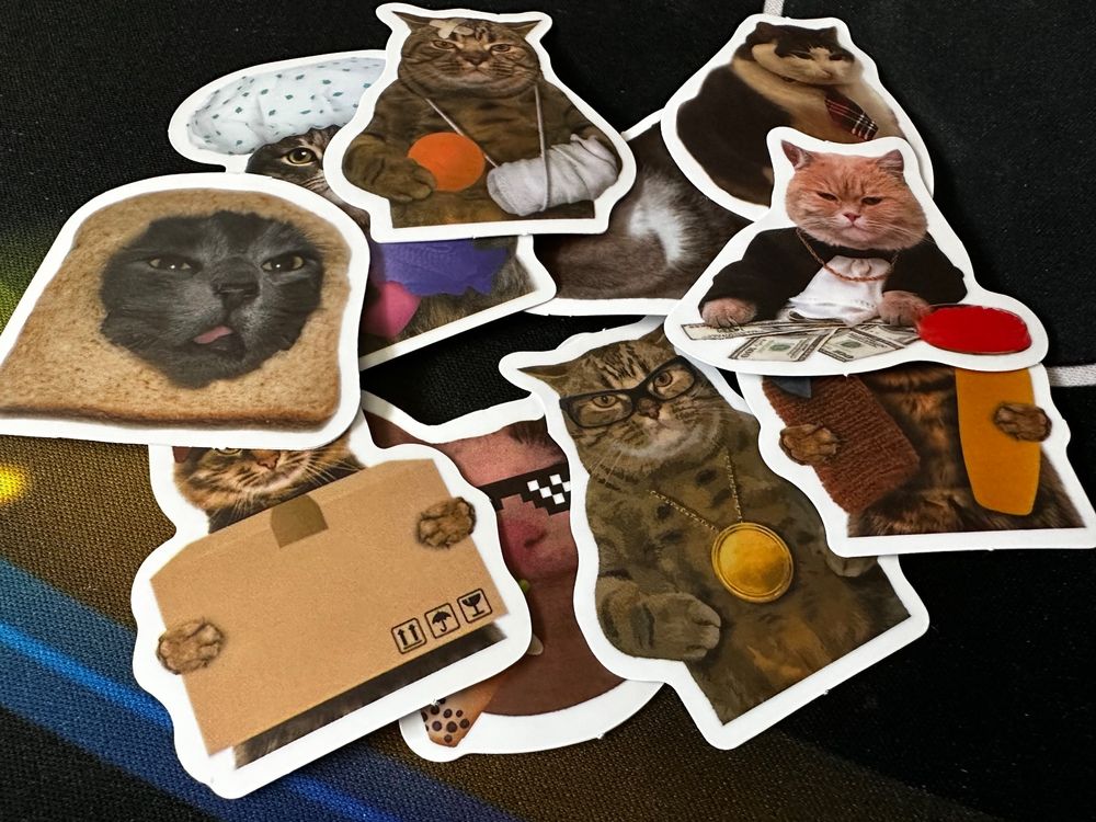 Katzen Meme Stickers I 50 Stk. I Wasserdicht | Kaufen auf Ricardo