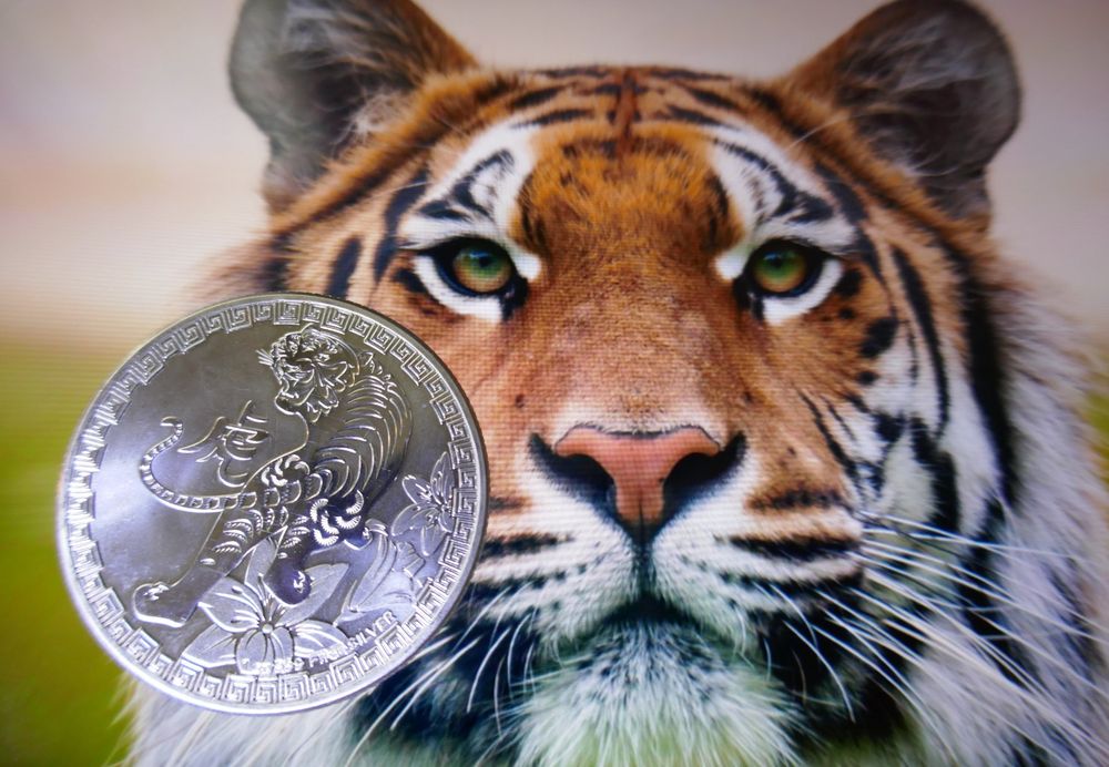 1 oz Silber 999 NUE/Lunar, Jahr des Tigers 2022 in Kapsel (Neu (gemäss ...