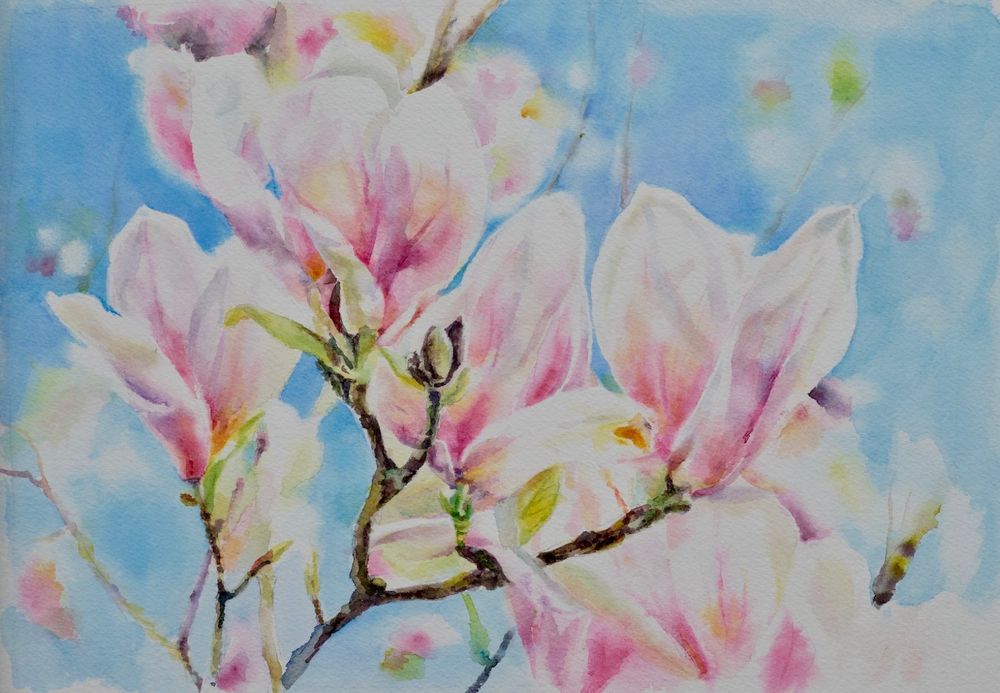 Aquarell Magnolienblüten Original (Neu und originalverpackt) in Wald ZH für CHF 55 – mit ...