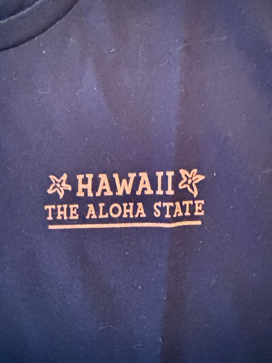 Old Navy T-Shirt Gr. L Hawaii The Aloah State Hang Loose USA (D ...