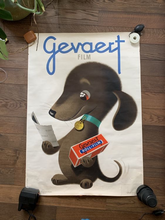 Gevaert Film Plakat, Vintage Werbeschild, Retro (Gebraucht) in Attelwil ...