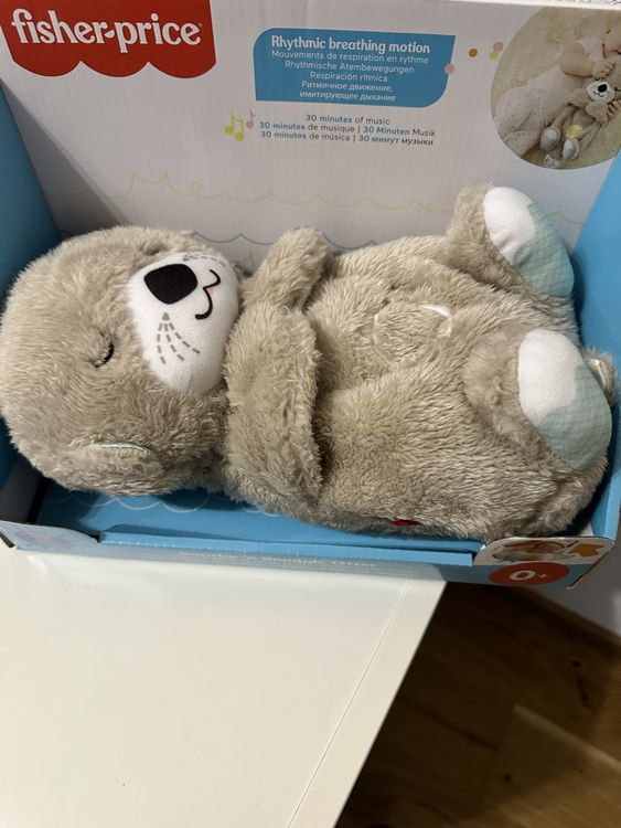 Fisher Price Schlummer-Otter | Kaufen auf Ricardo