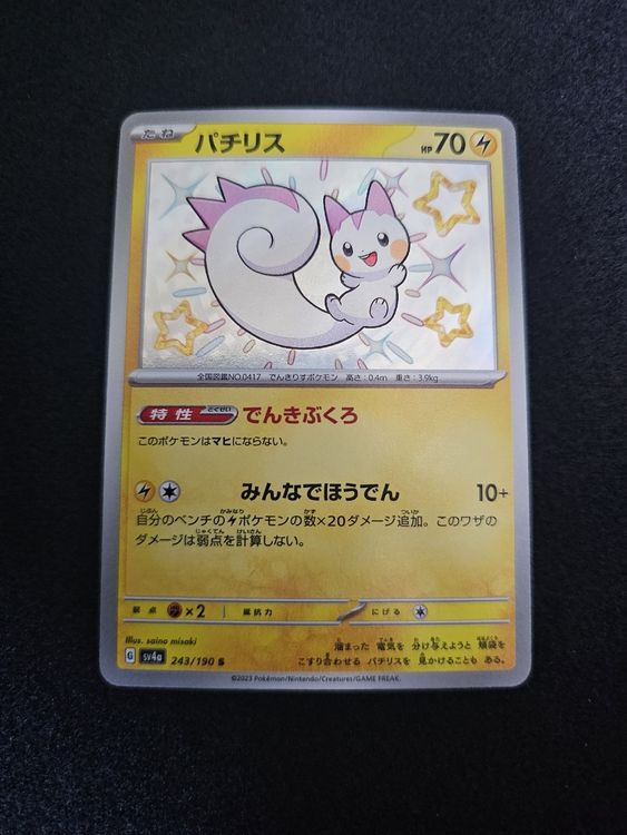 Pachirisu baby Shiny Treasure ex | Kaufen auf Ricardo