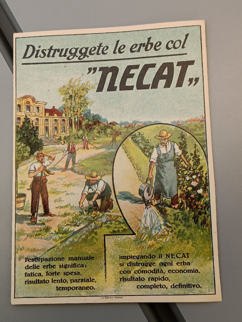 Litho Werbe Prospekt Karte / NECAT - Distruggete le erbe col (Gebraucht ...