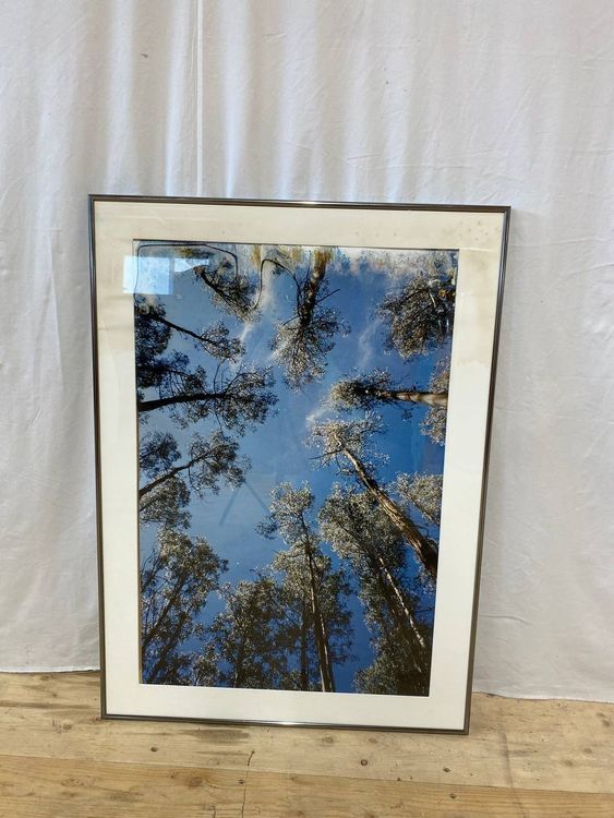 Bildrahmen 88x64 N 6538 (Gebraucht) in Roggwil BE für CHF 1 – nur Abholung auf Ricardo kaufen