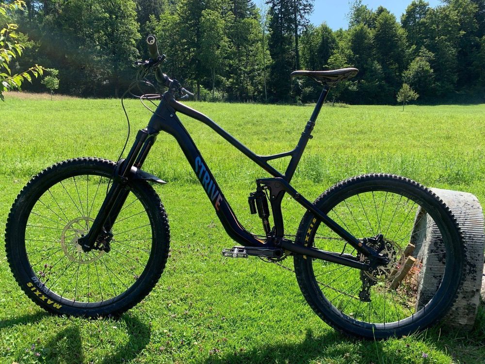 Canyon Strive AL 5.0 Race (2017) XL (Gebraucht) in Birmensdorf ZH für ...