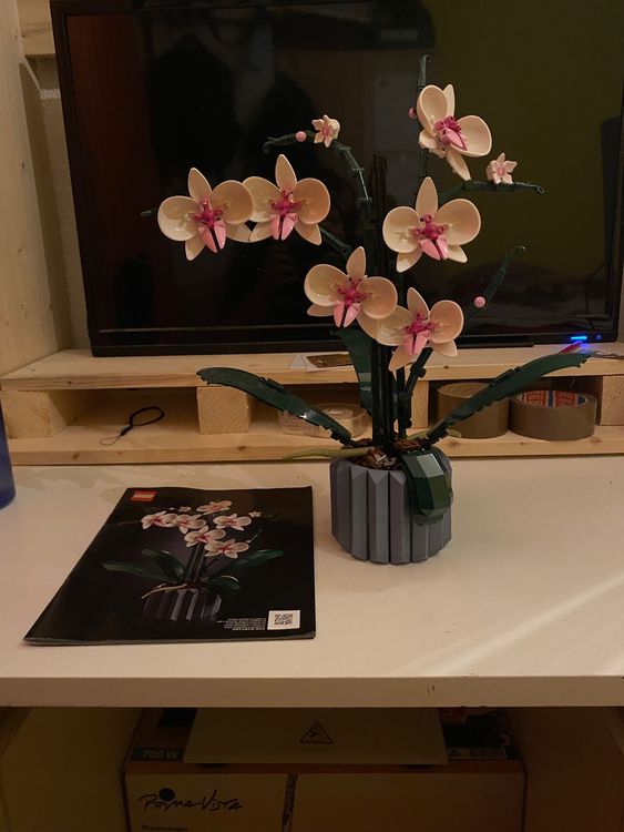 LEGO Orchidee 10311 mit Bauplan | Kaufen auf Ricardo