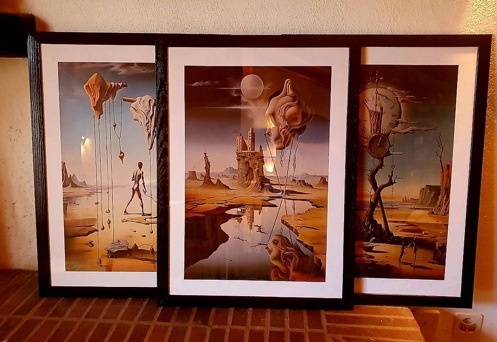 3 quadri di Salvador Dali nuovi (Gebraucht) in Canobbio für CHF 180 ...