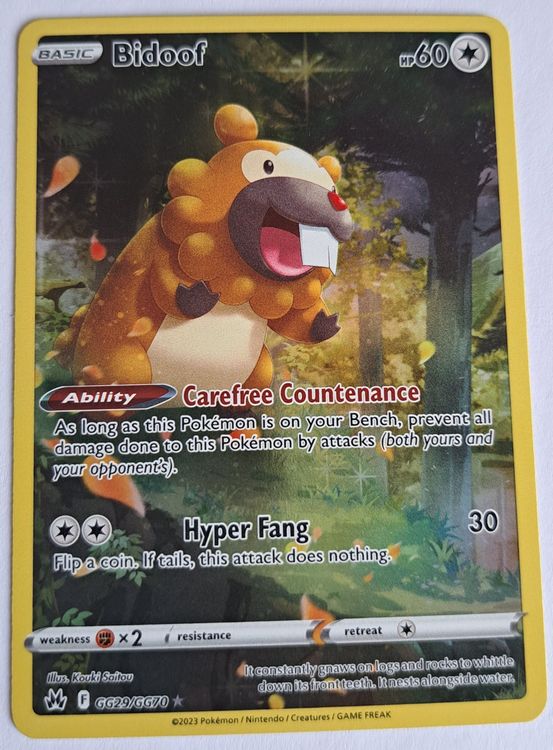 Bidoof - Crown Zenith GG29 | Kaufen auf Ricardo