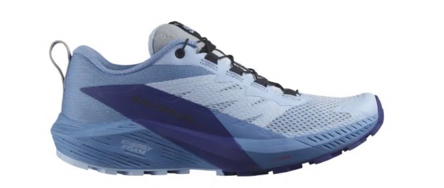 Salomon Sense Ride 5 Damen Gr.36 Test Schuh (Gebraucht) in Möhlin für ...