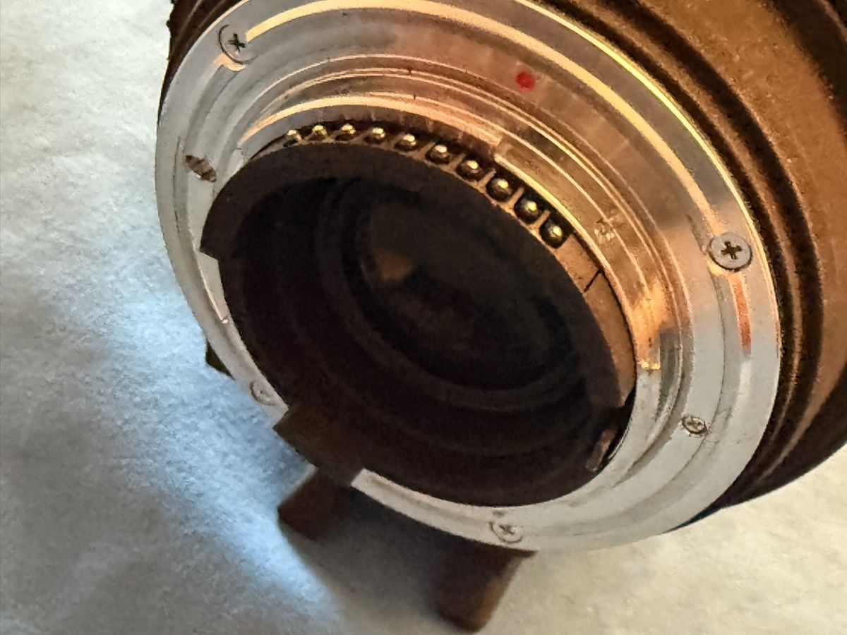 Sigma 80-400mm Objektiv, für Nikon F, ideal für Tierfotos! (Gebraucht ...