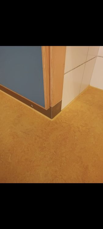 Linol von Forbo, 14.8 m2 | Kaufen auf Ricardo