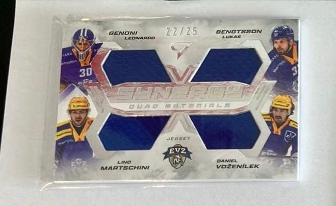 Synergy Quad Materials Sportzoo Serie 2 EVZ EV Zug Genoni 25 (Gebraucht ...