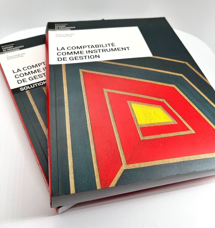 La comptabilité instrument de gestion 136,80 CHF (- 77CHF) (Neu (gemäss ...