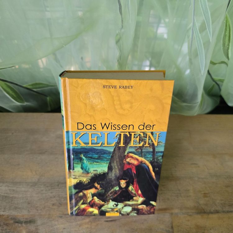 Das Wissen der Kelten von Steve Rabey (Gebraucht) in Luzern für CHF 1 ...